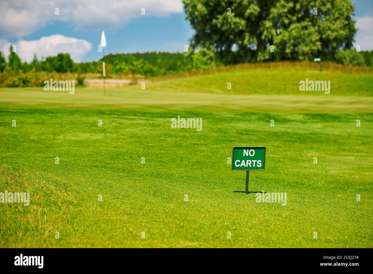 Golf carts on golf course hi-res stock photography and images - Alamy