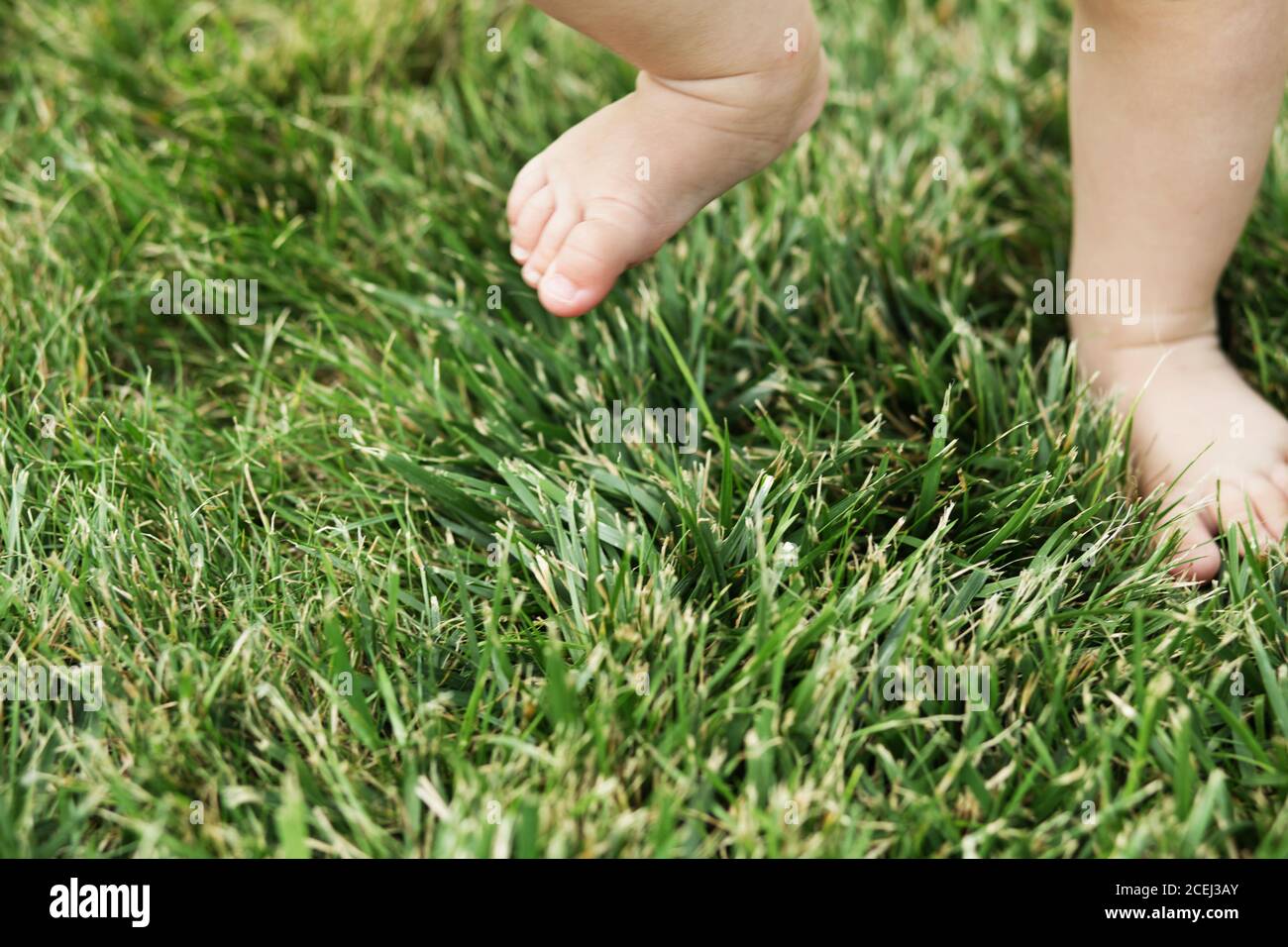 Small baby feet on the green grass. Feet of little kid staying on green ...