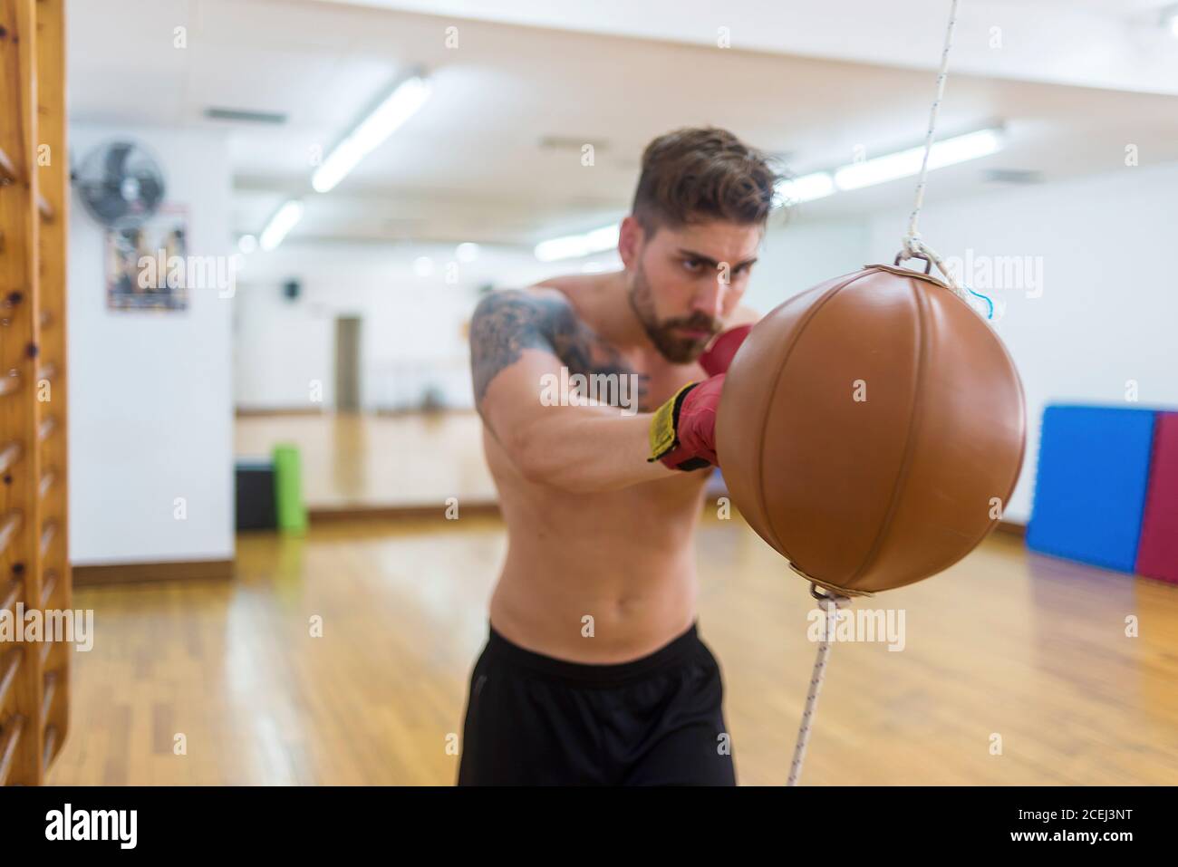 Young man boxing workout in an gym Stock Photo - Alamy