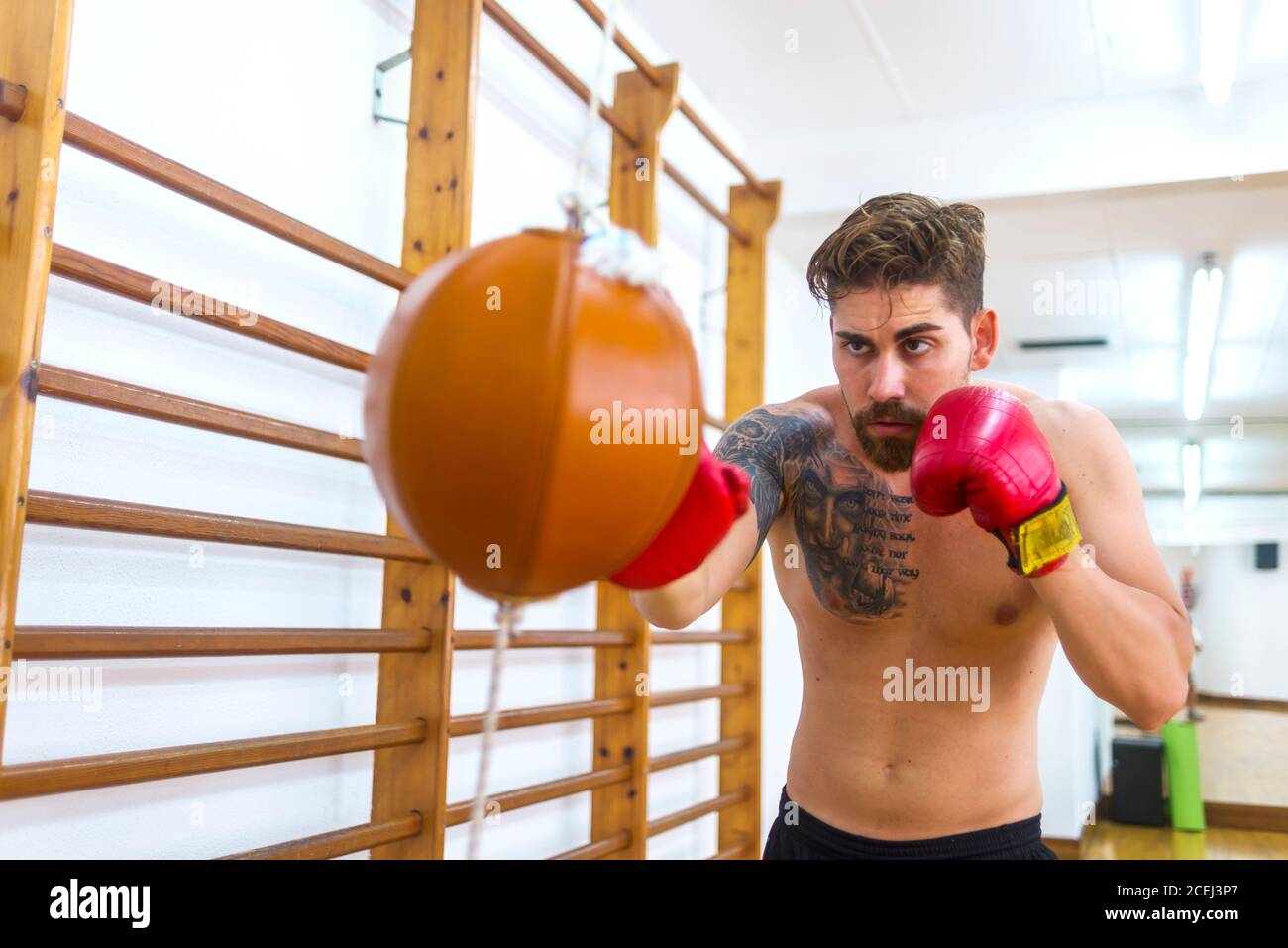 Young man boxing workout in an gym Stock Photo - Alamy