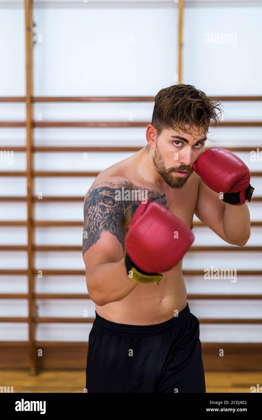 Young man boxing workout in an gym Stock Photo - Alamy