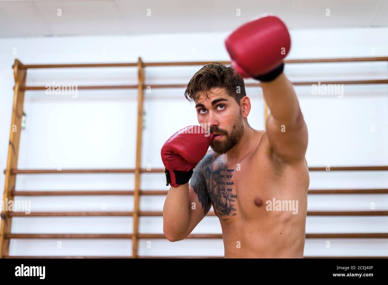 Young man boxing workout in an gym Stock Photo - Alamy