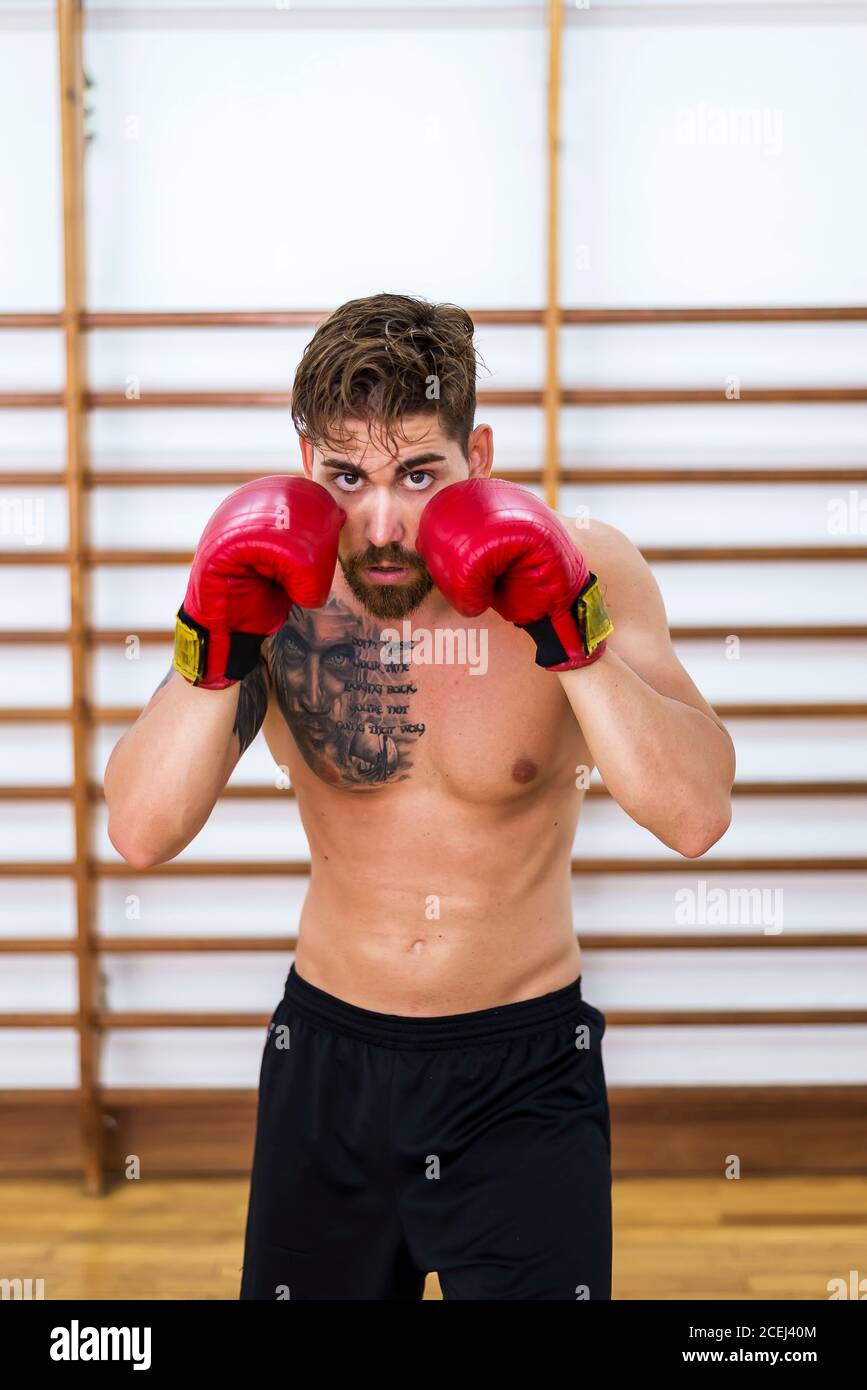 Young man boxing workout in an gym Stock Photo - Alamy