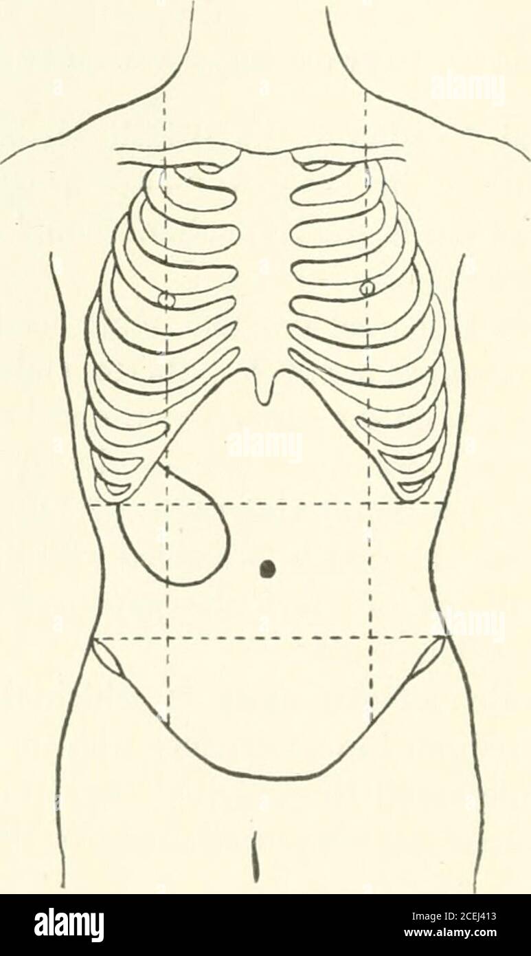 Anatomy emphasize hi-res stock photography and images - Alamy