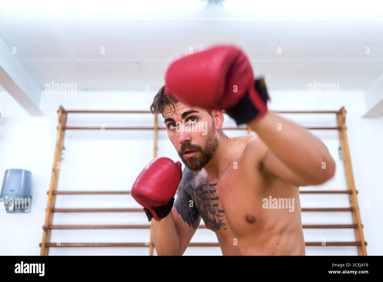 Young man boxing workout in an gym Stock Photo - Alamy
