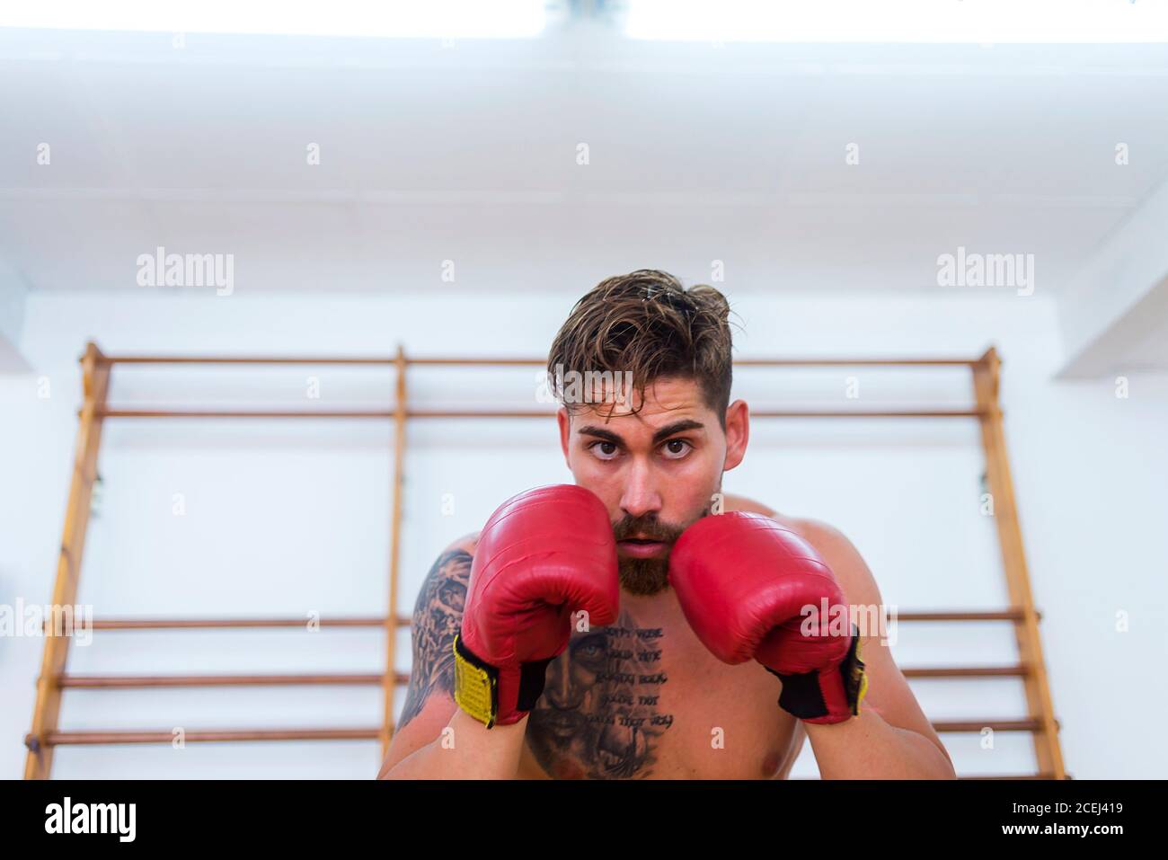 Boxing young men hi-res stock photography and images - Alamy