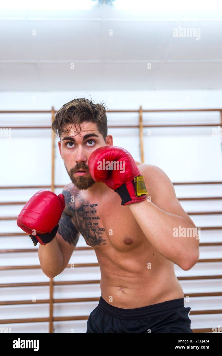 Boxing workout hi-res stock photography and images - Alamy