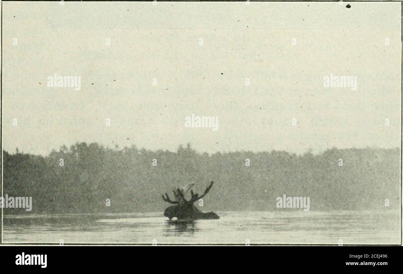 Tump line hi-res stock photography and images - Alamy