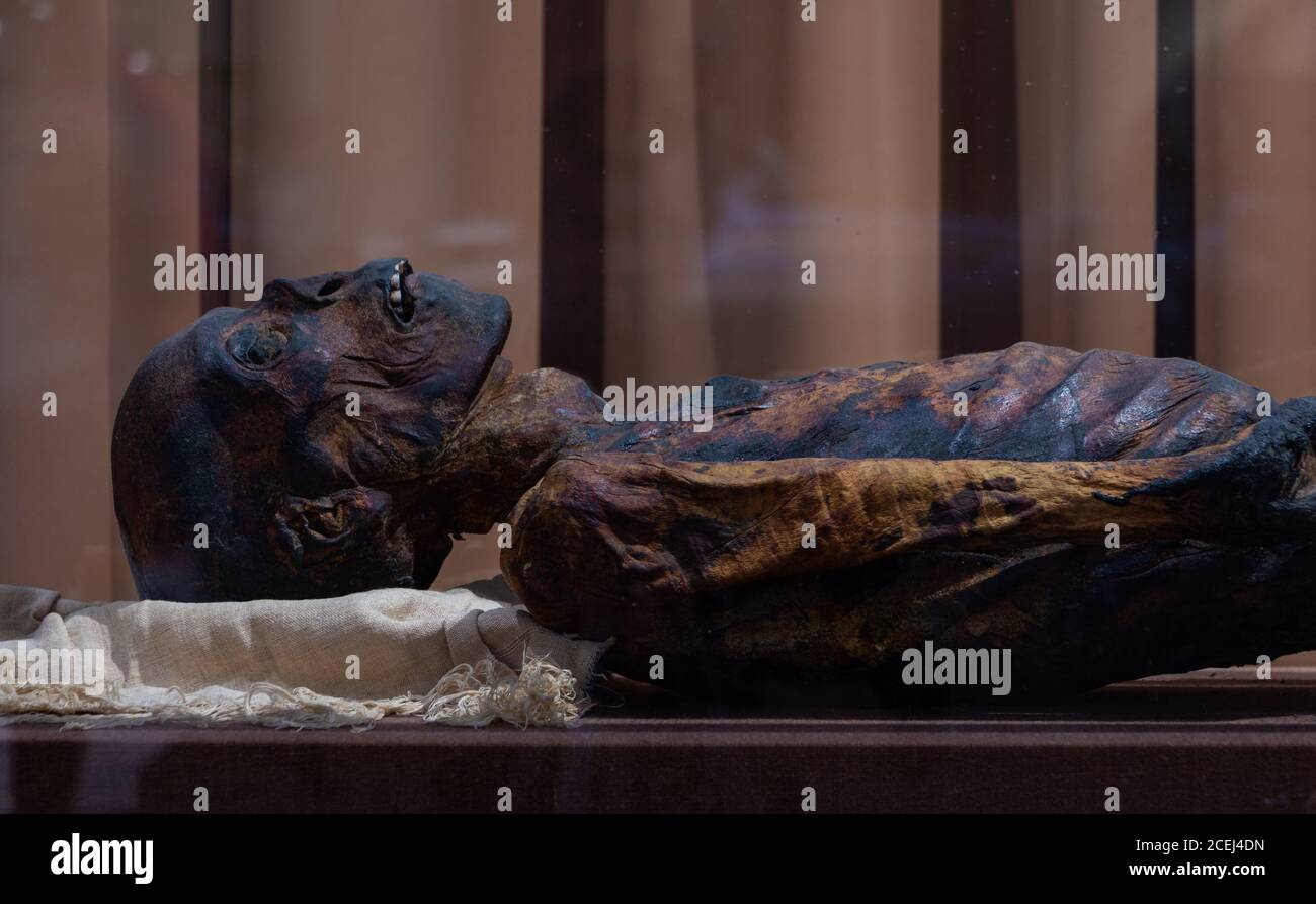 Mummified body hi-res stock photography and images - Alamy