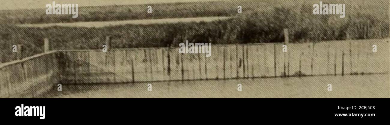 . Outing. THE STEEL MOTOR SKIFF IS PRACTICALLY INDESTRUCTIBLE. 668 THE ...