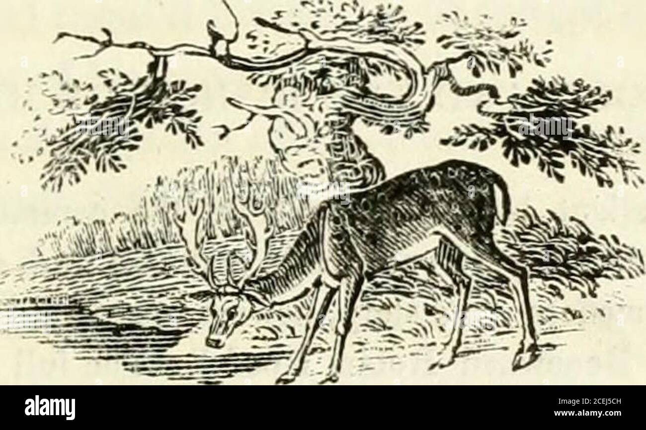 Robin Hood Ballads High Resolution Stock Photography and Images - Alamy