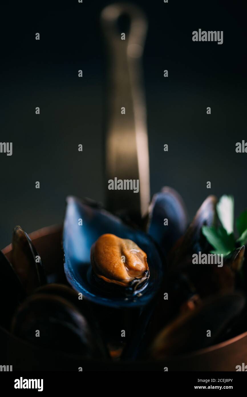 Boiled fresh mussels served Stock Photo - Alamy