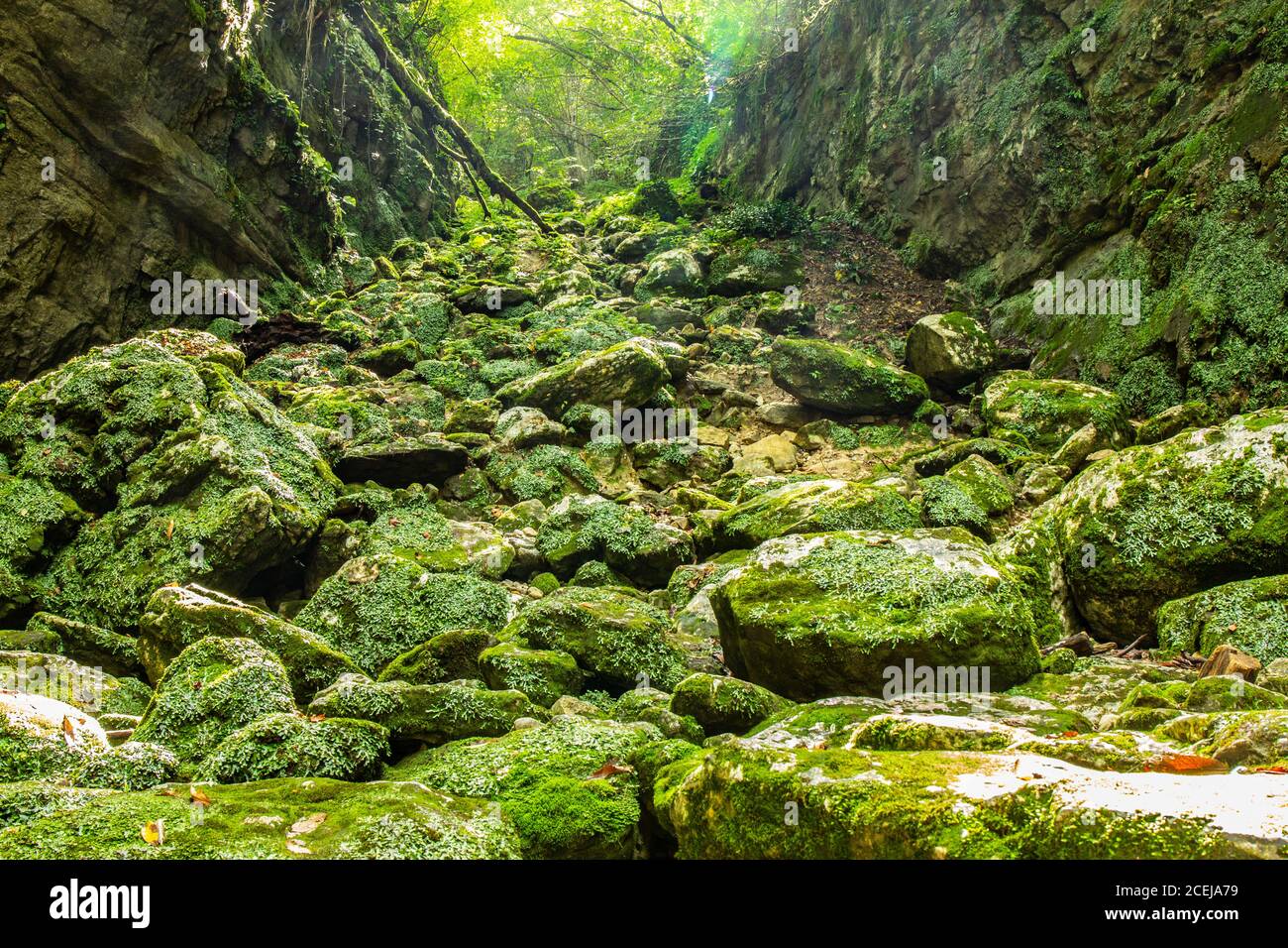 Famous wooden bridge located hi-res stock photography and images - Alamy