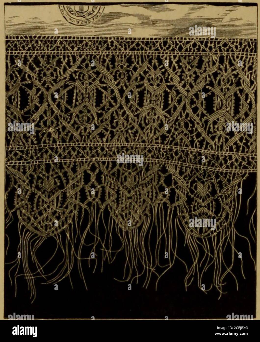 Siniga hi-res stock photography and images - Alamy