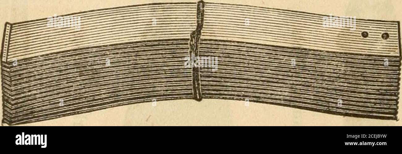 . Price list : Spring 1881.. Steel Shanks, Gents R. & L. 25 cts per doz ...