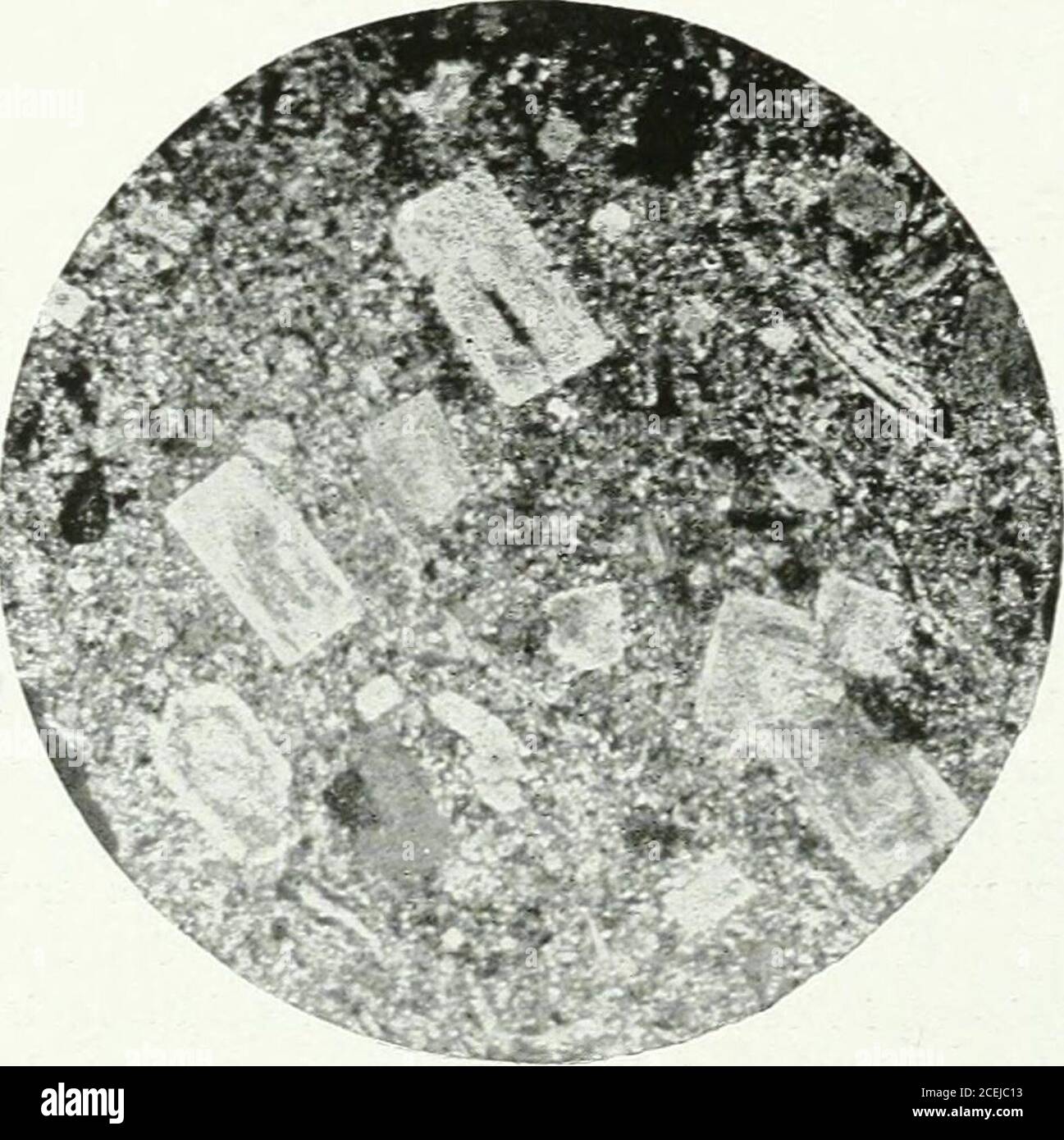 Gold bearing vein hi-res stock photography and images - Alamy