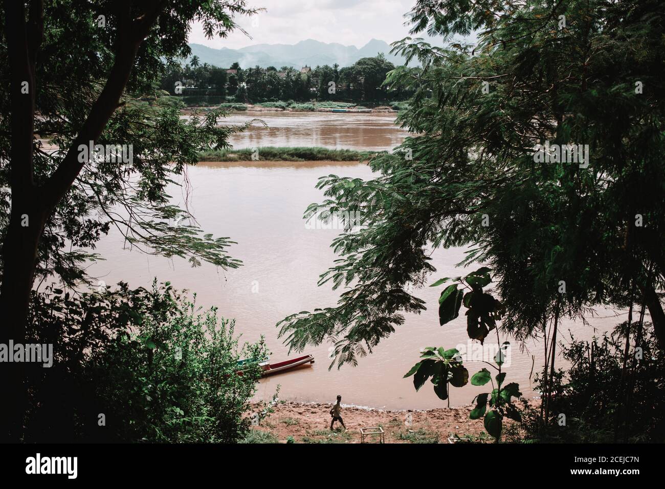 View to dirty lake at green forest and unrecognizable person on coast ...
