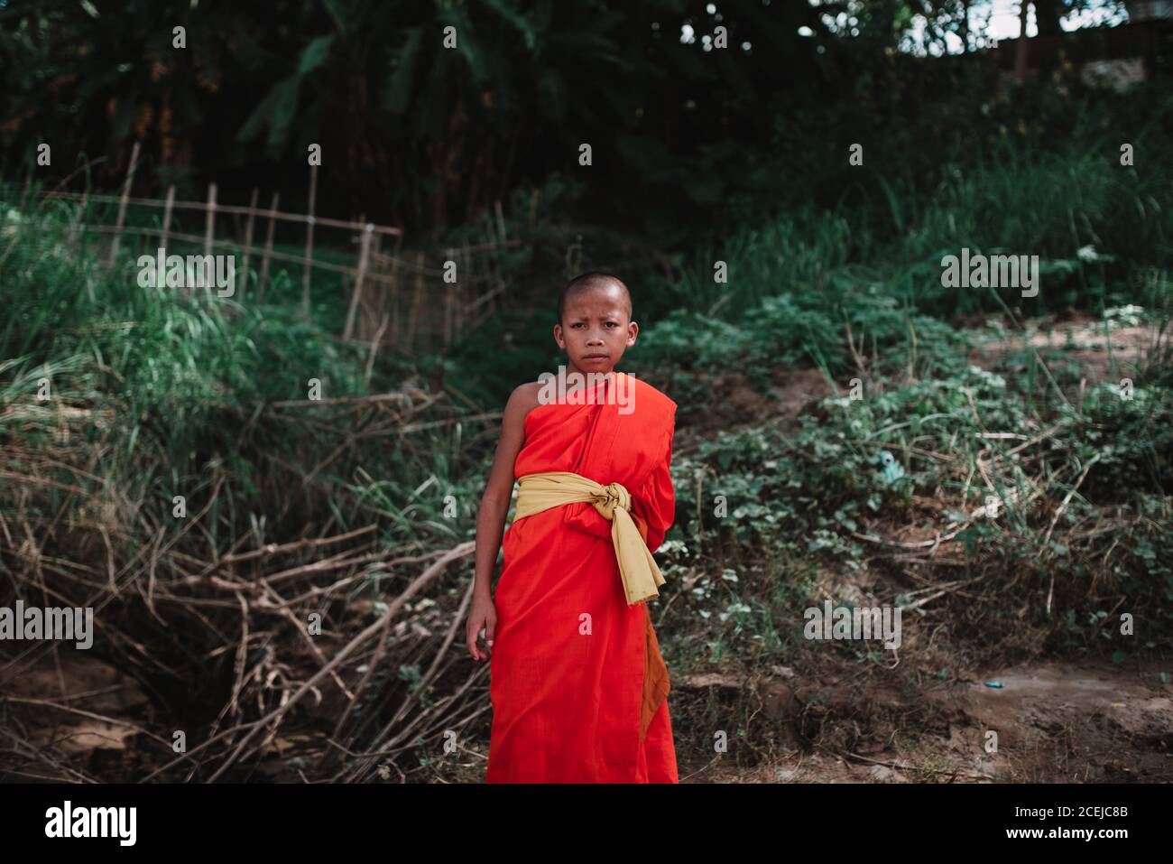 Buddhist monk standing meditating hi-res stock photography and images ...