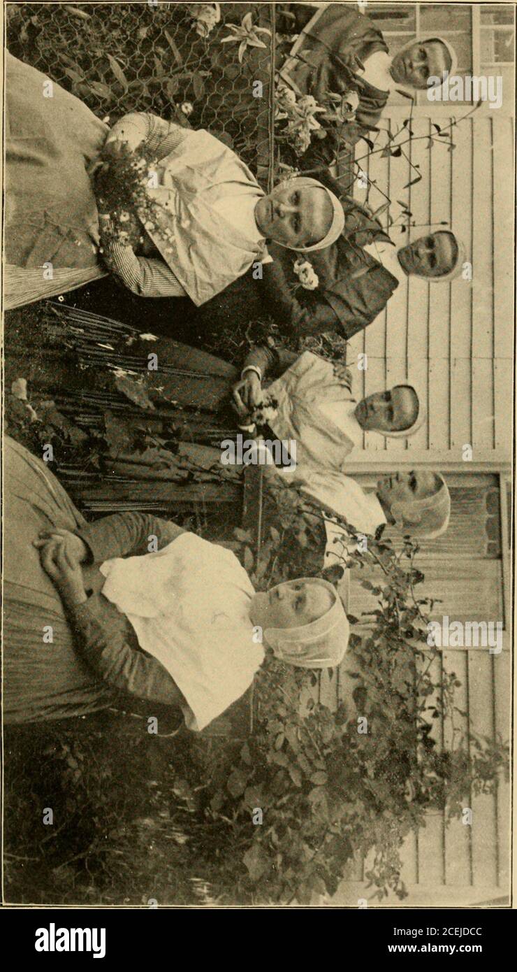 Ann lee shakers hi-res stock photography and images - Alamy