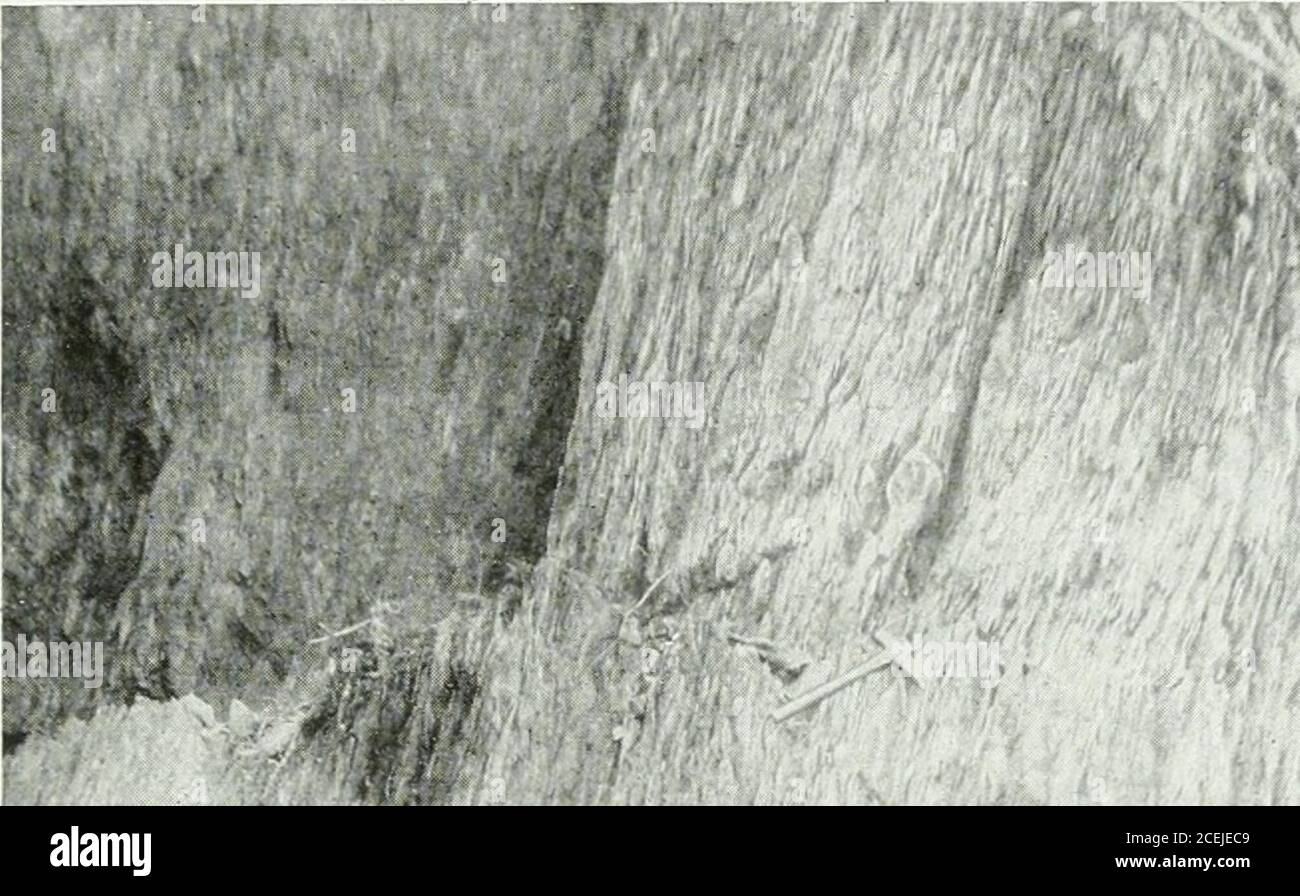 Broken swastika hi-res stock photography and images - Alamy