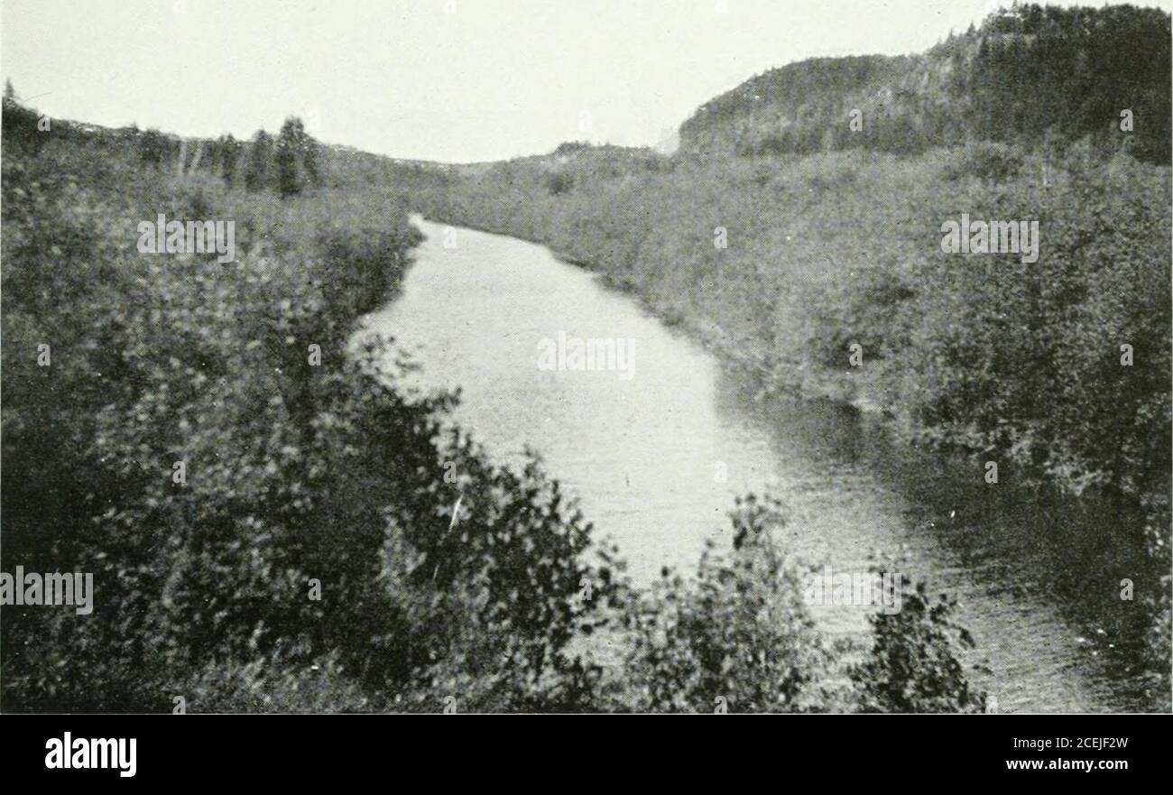 Masses 1914 hi-res stock photography and images - Alamy