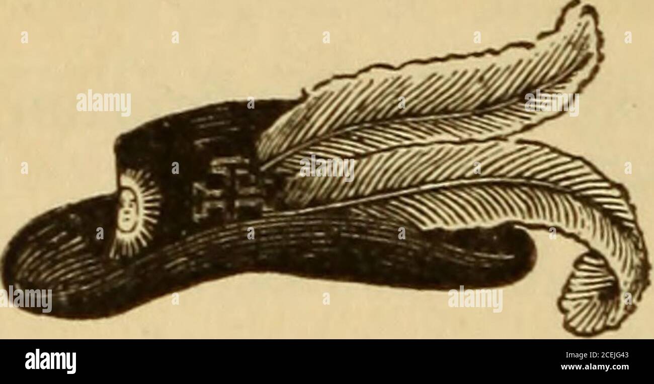 . The book of the ancient and accepted Scottish rite. pierced by a ...