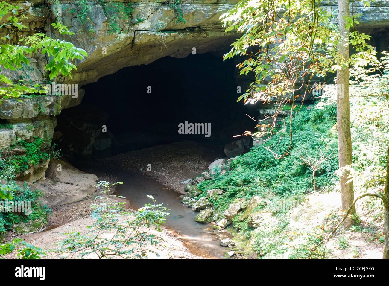 The entrance to a cave known as Russell cave with a stream running ...