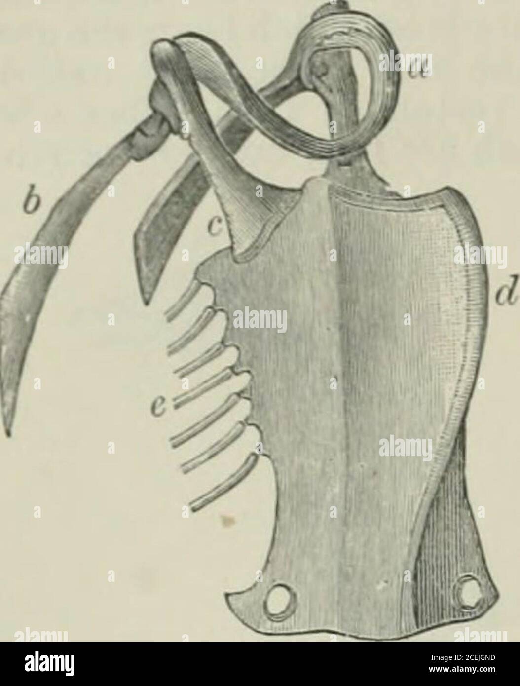 Ball and sockets hi-res stock photography and images - Alamy