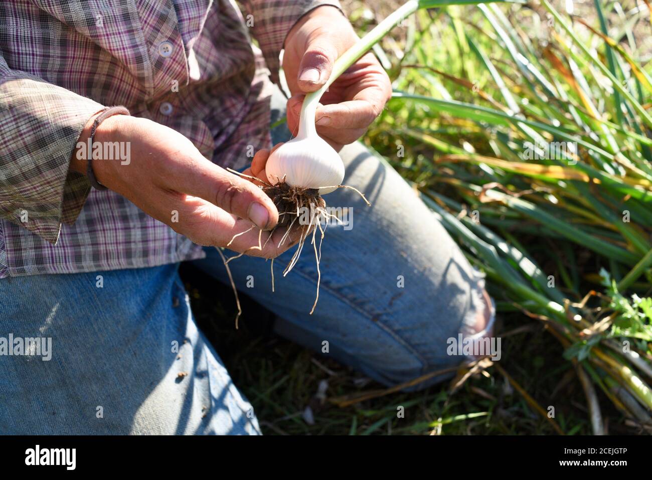 Woman brushing off hands hi-res stock photography and images - Alamy