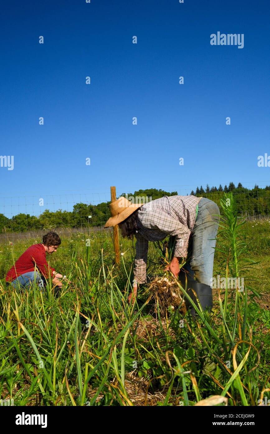Bending women hi-res stock photography and images - Alamy