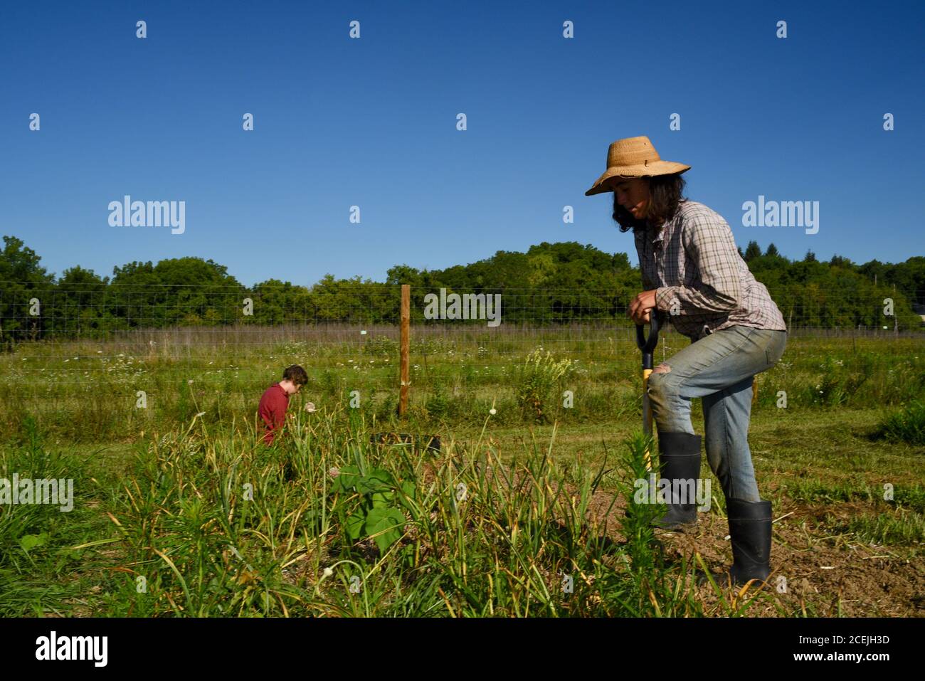 Two farmers digging up hi-res stock photography and images - Alamy