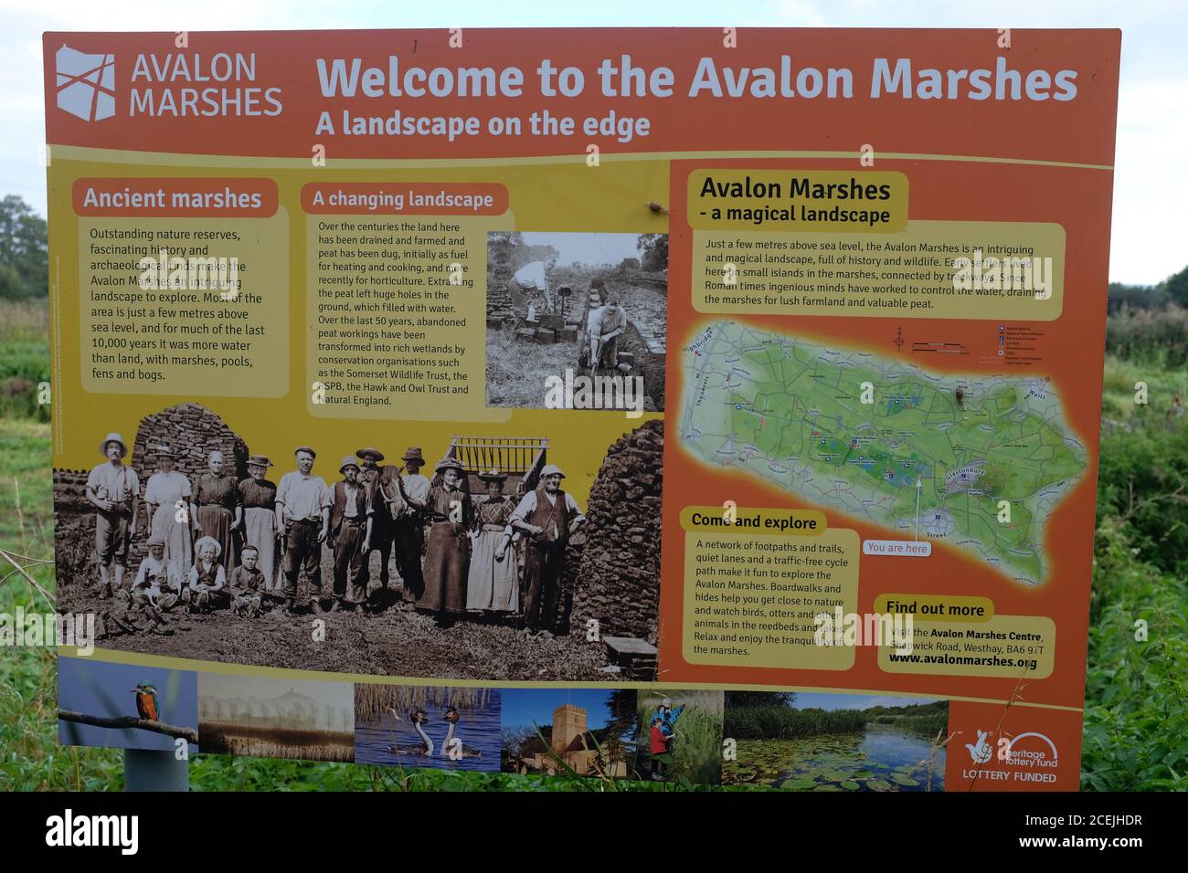 Avalon map hi-res stock photography and images - Alamy