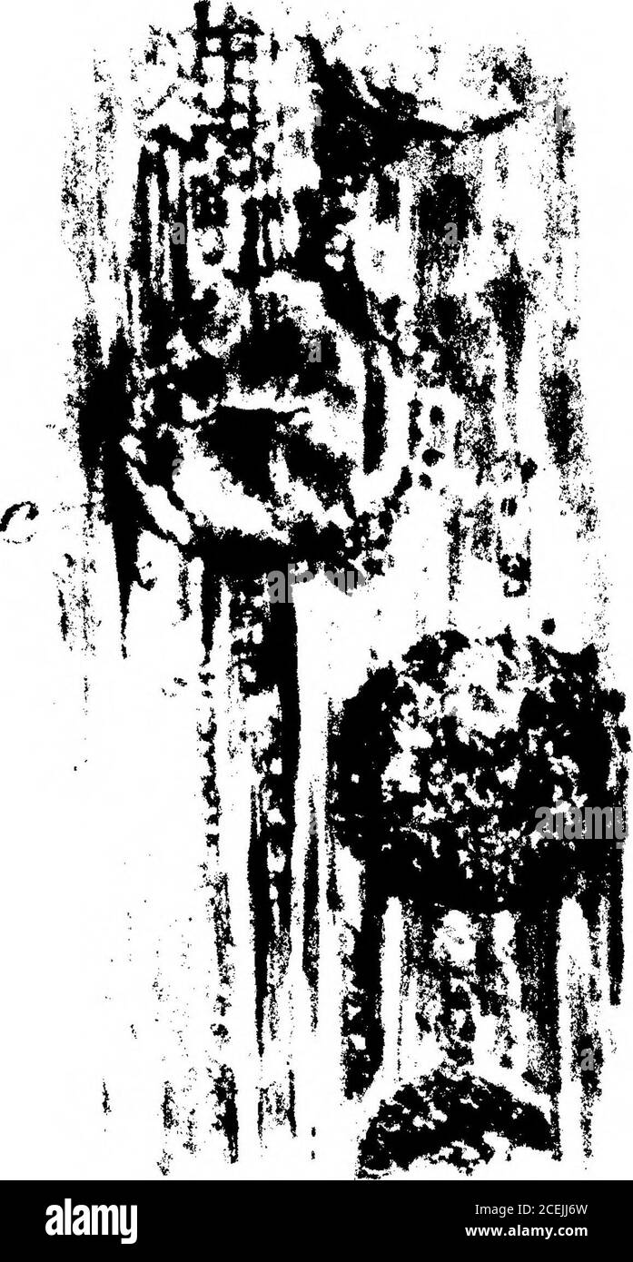 Bearing upon Cut Out Stock Images & Pictures - Alamy