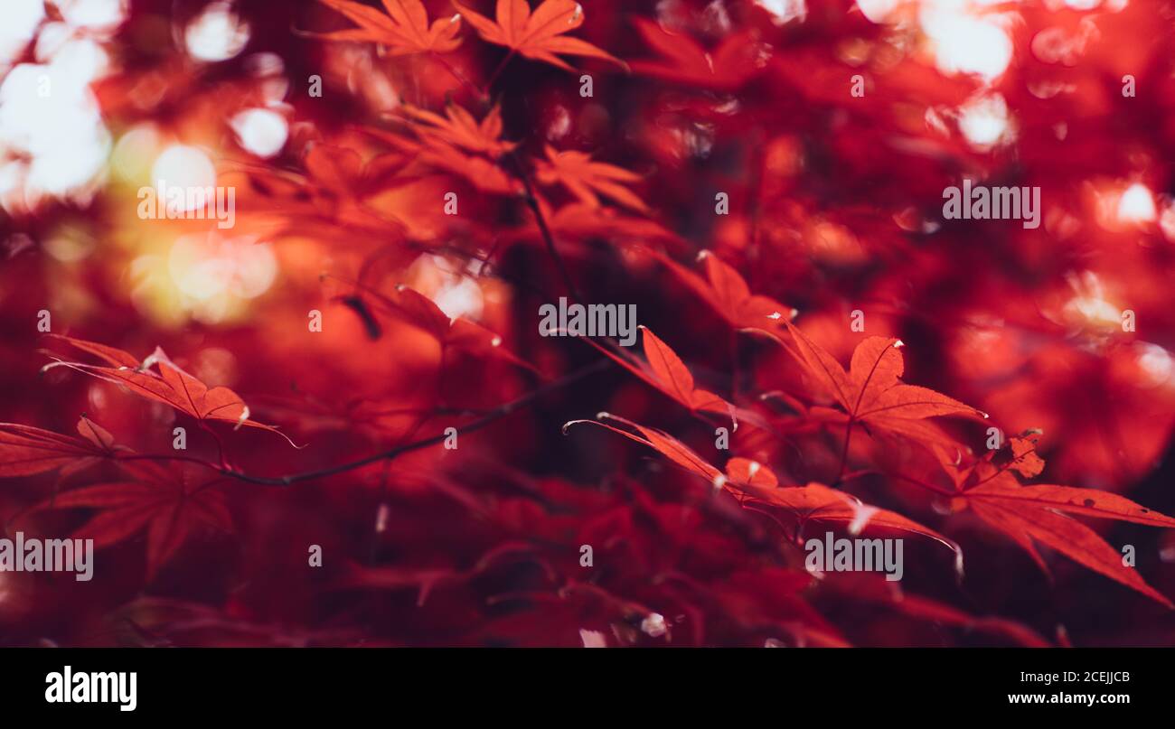 Beautiful shot calm bright hi-res stock photography and images - Alamy