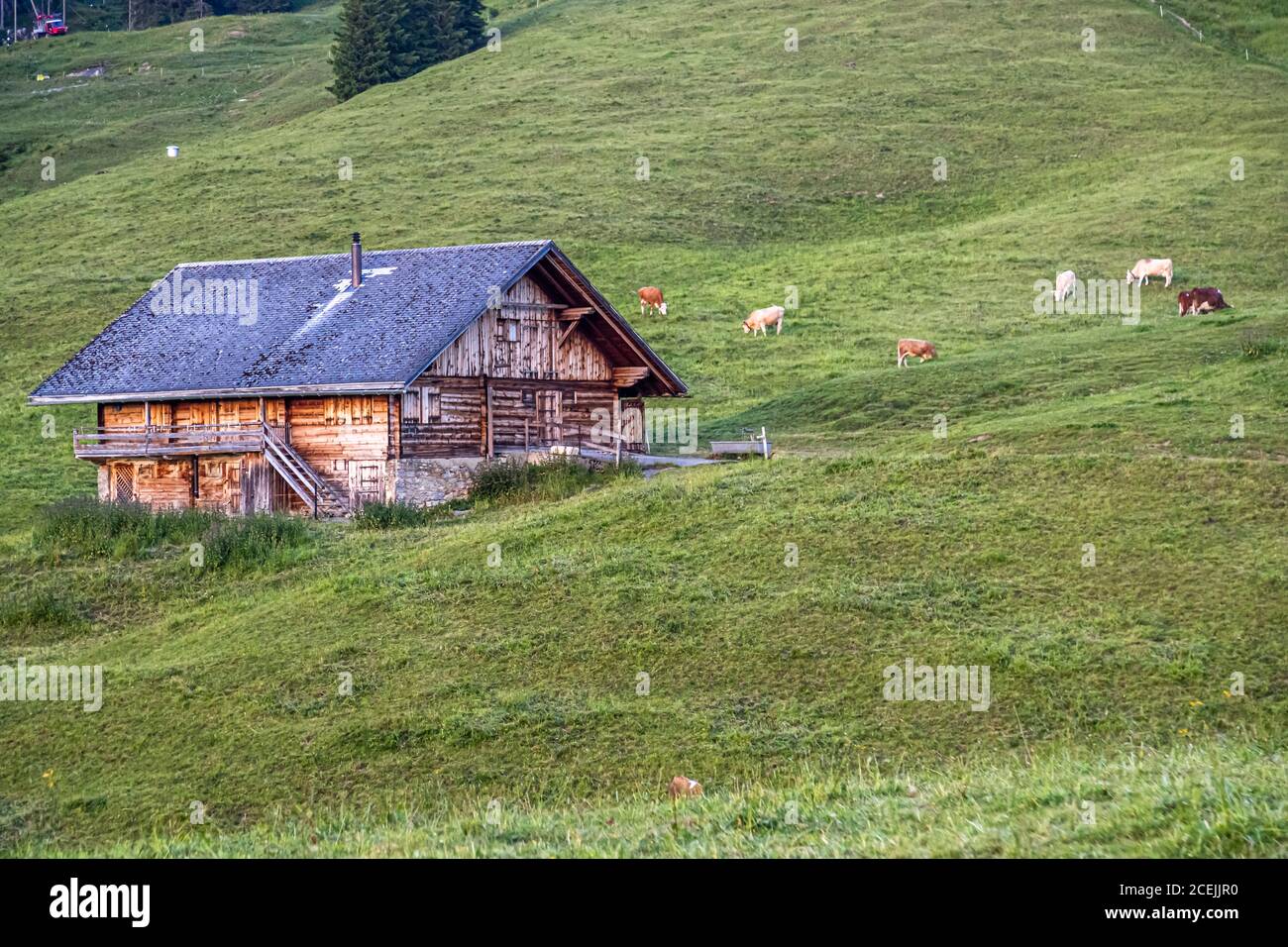 Log cabin in the alps hi-res stock photography and images - Alamy