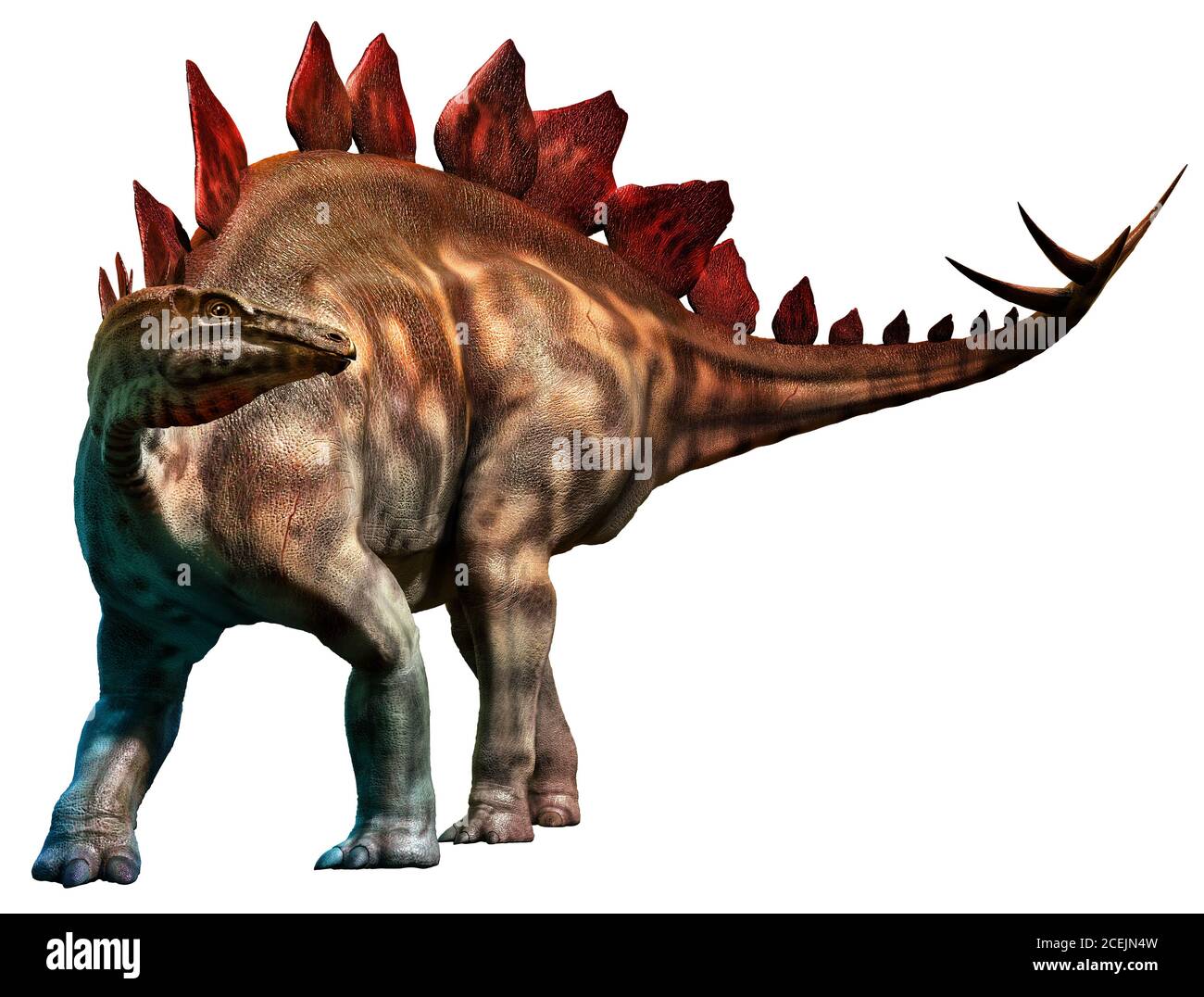 Stegosaurus illustration hi-res stock photography and images - Alamy