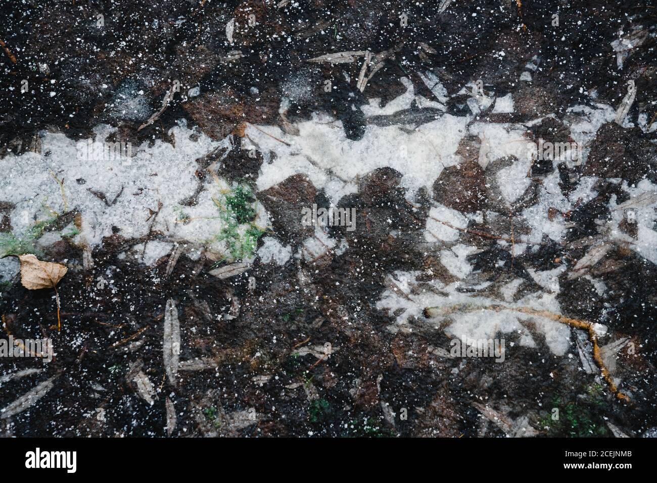 Snow falling on ground Stock Photo - Alamy