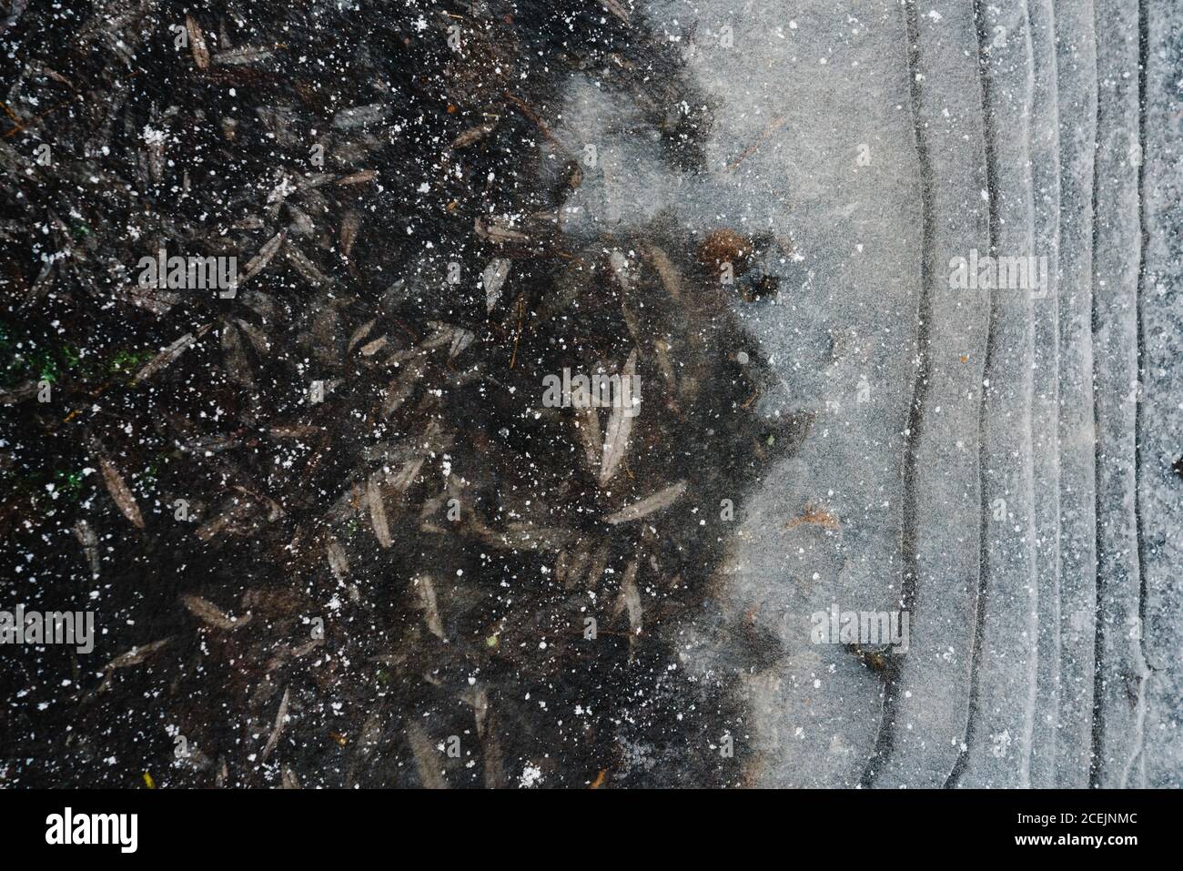 Snow falling on ground Stock Photo - Alamy