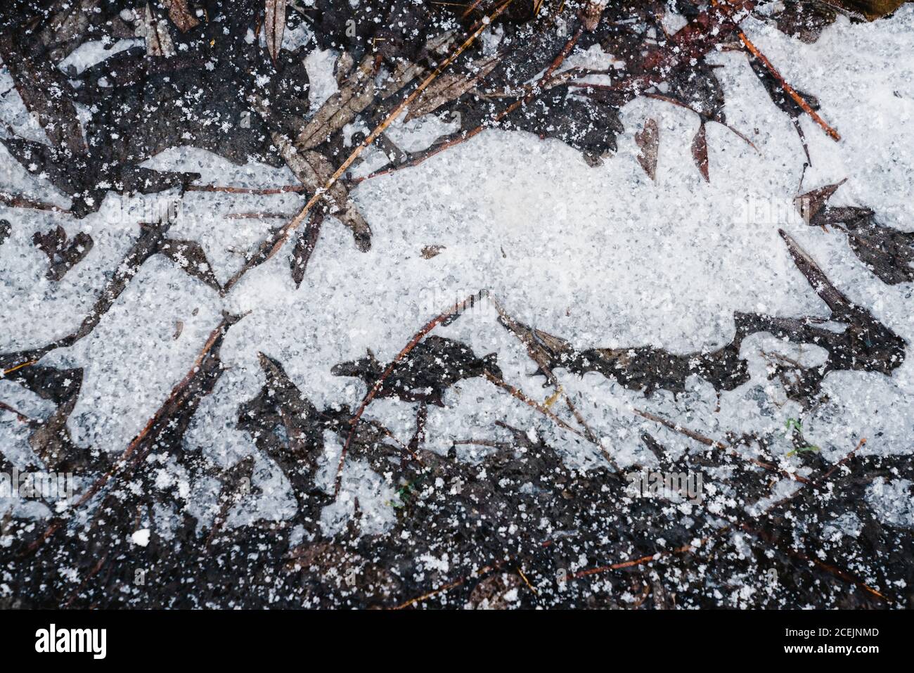 Snow falling on ground Stock Photo - Alamy