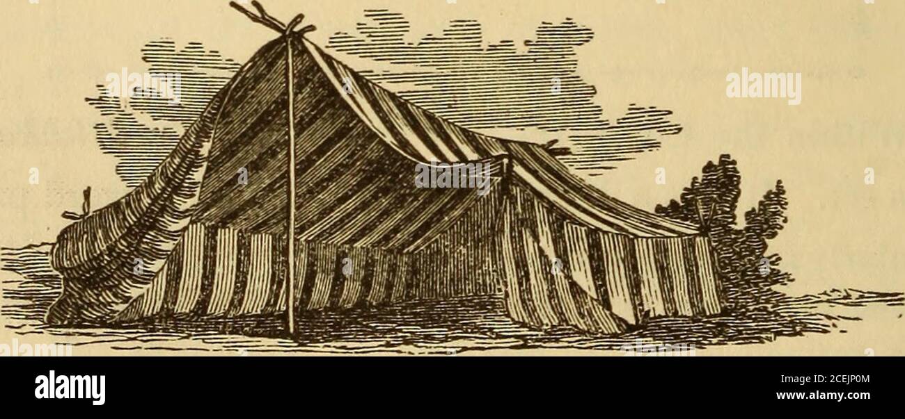 Thirty cubits hi-res stock photography and images - Alamy