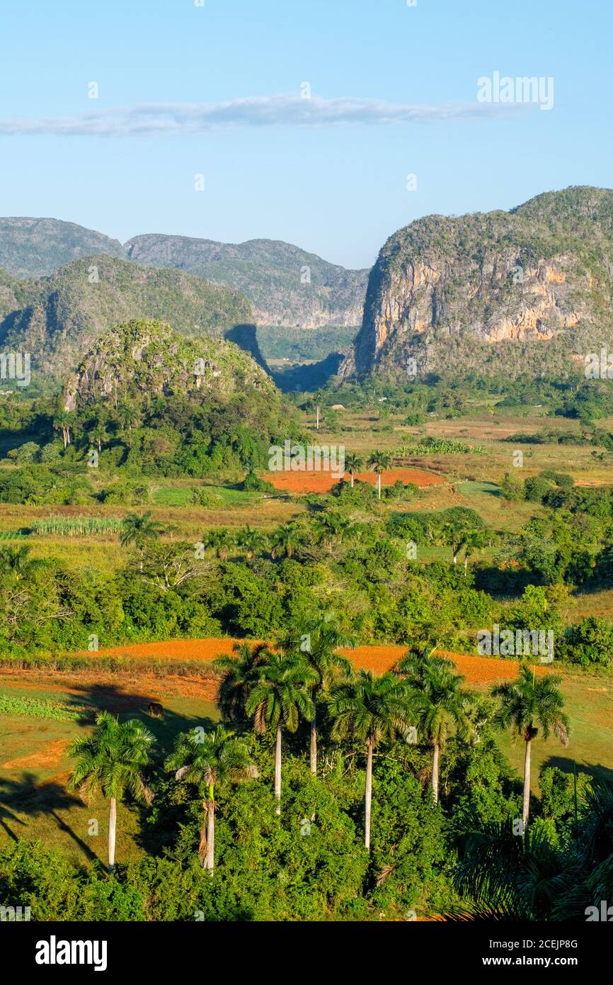 The Viñales valley in Cuba, famous for its mountains and its tobacco ...