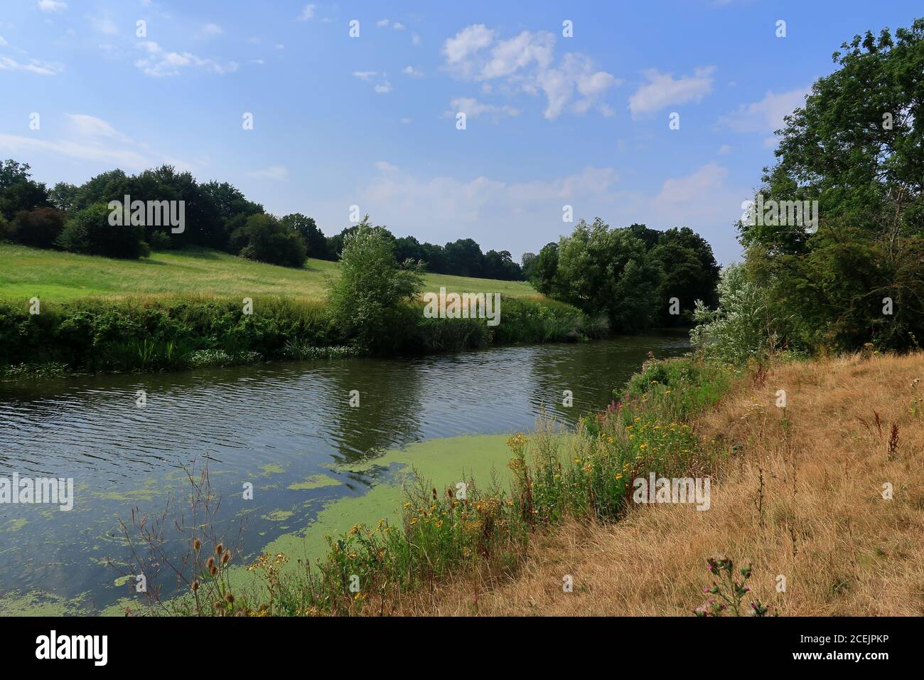 A woodland Landscape scene in the Wateringbury countryside near ...
