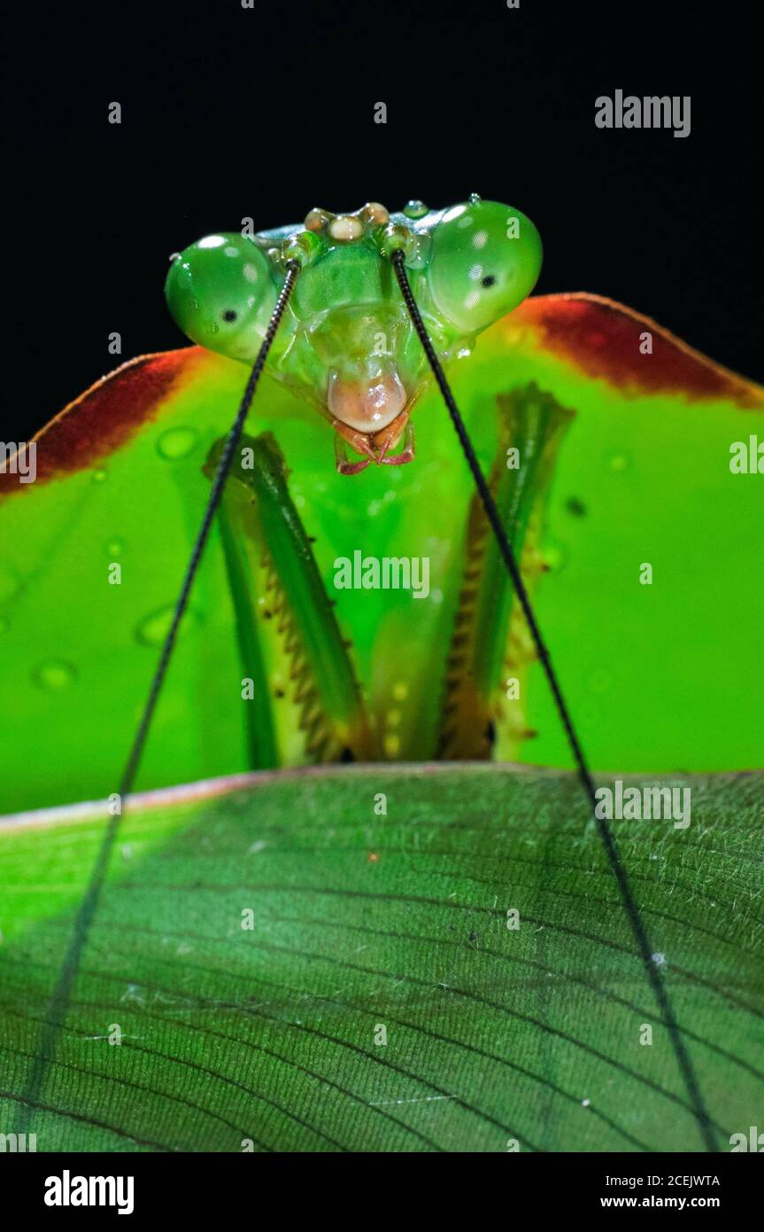 Puerto de puno hi-res stock photography and images - Alamy