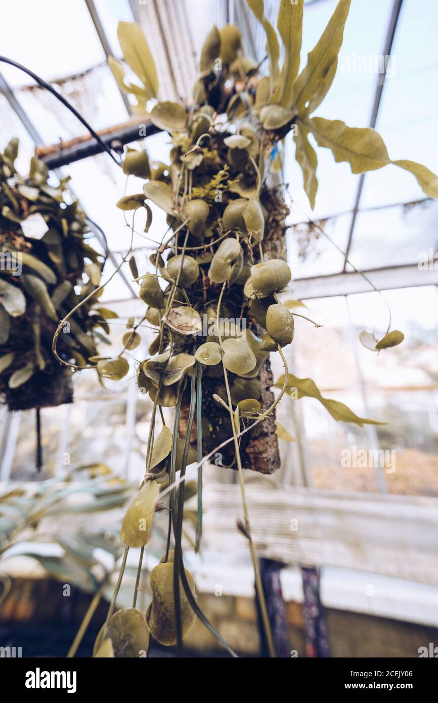 Binding nature hi-res stock photography and images - Alamy