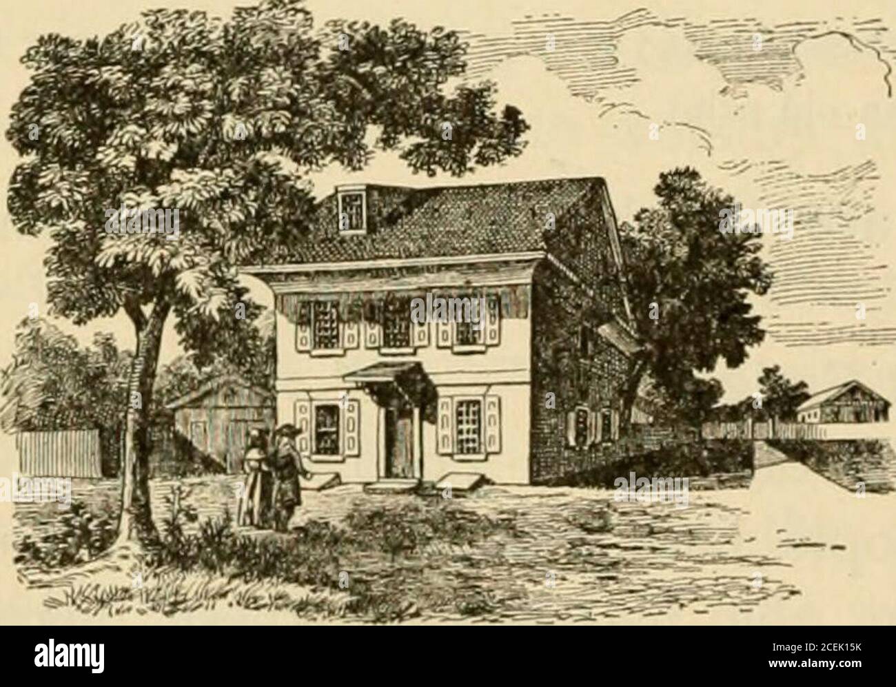 How to manage a colony hi-res stock photography and images - Alamy