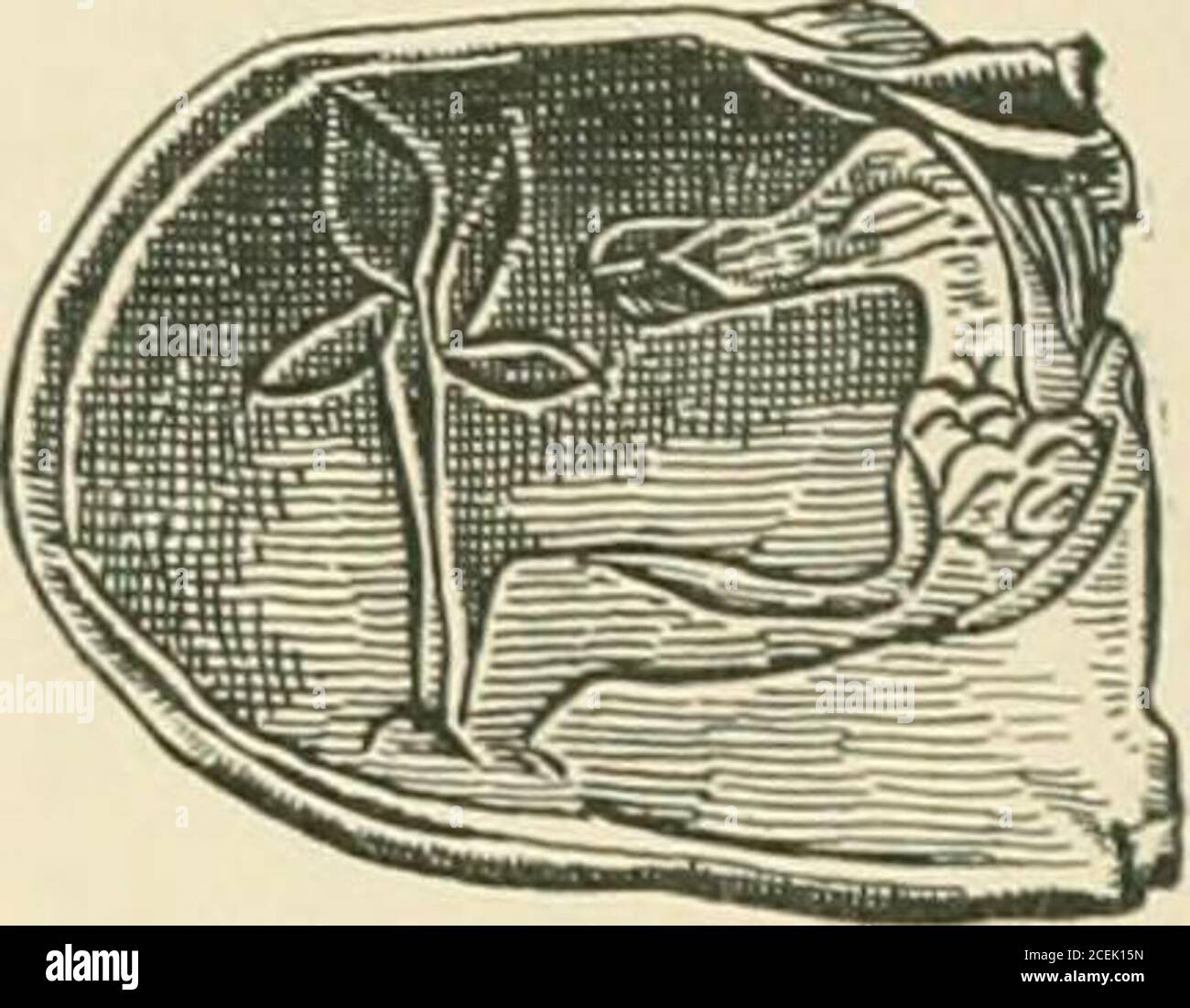 Esquiline treasure hi-res stock photography and images - Alamy