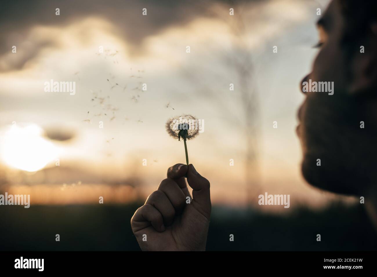 Man seeds background hi-res stock photography and images - Alamy