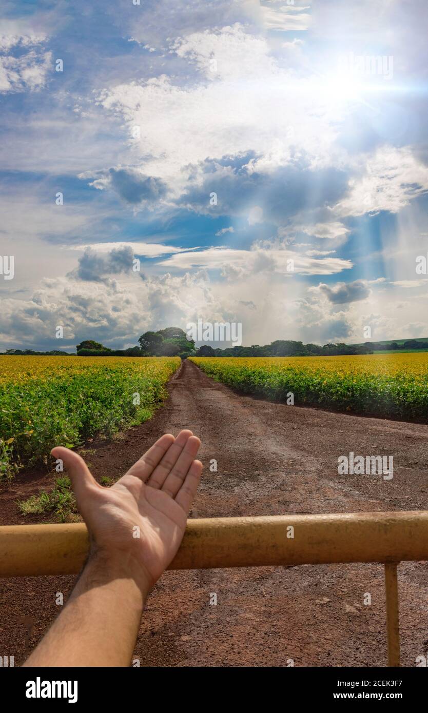 Hand gestures in front green hi-res stock photography and images - Alamy