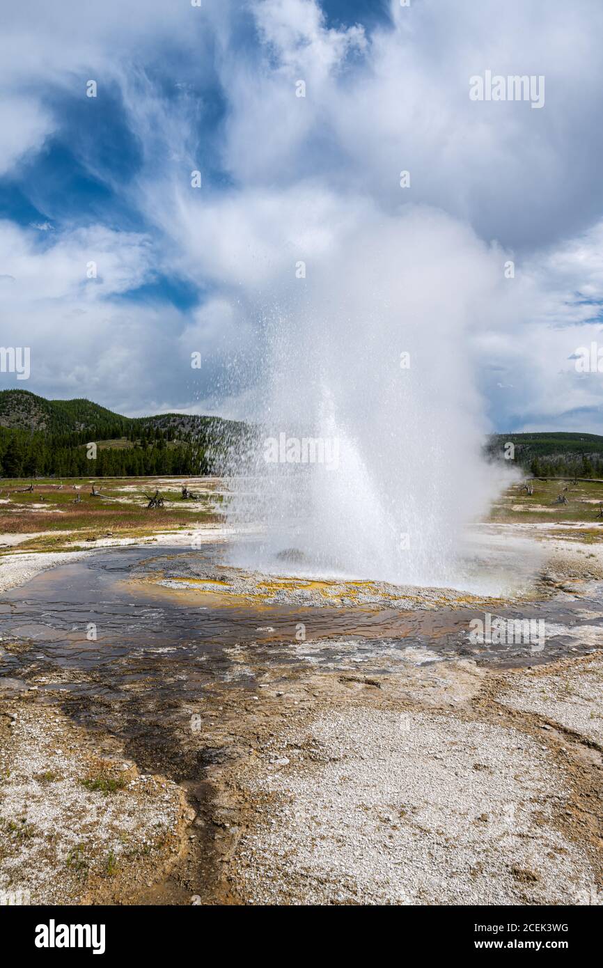 Active geyser hi-res stock photography and images - Alamy