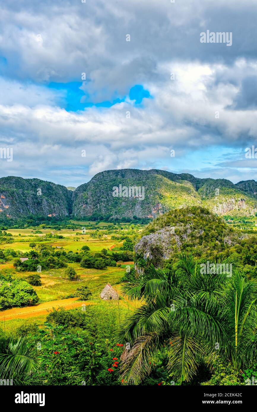 The Viñales valley in Cuba, famous for its mountains and its tobacco ...